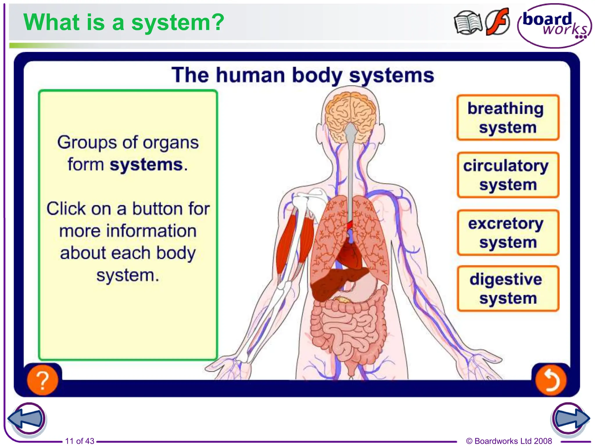 cells-tissues-organs-and-systems OF BODY.ppt
