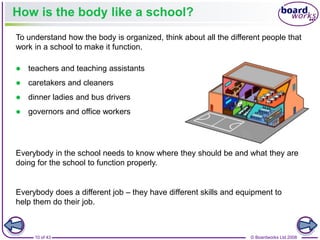 cells-tissues-organs-and-systems OF BODY.ppt