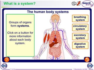 cells-tissues-organs-and-systems OF BODY.ppt