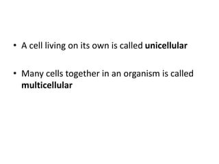 cells-tissues-organs-and-systems OF BODY.ppt