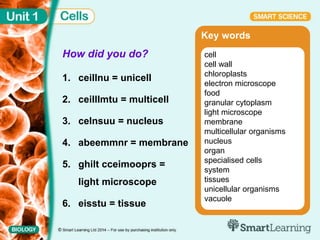cells-tissues-organs-and-systems OF BODY.ppt