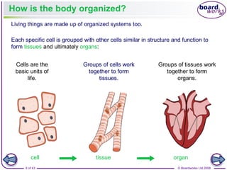 cells-tissues-organs-and-systems OF BODY.ppt