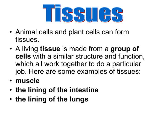 cells-tissues-organs-and-systems OF BODY.ppt