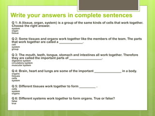 cells-to-organisms.ppt