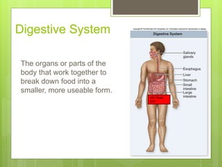 cells-to-organisms.ppt