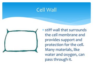 Cells 1.2 | PPTX