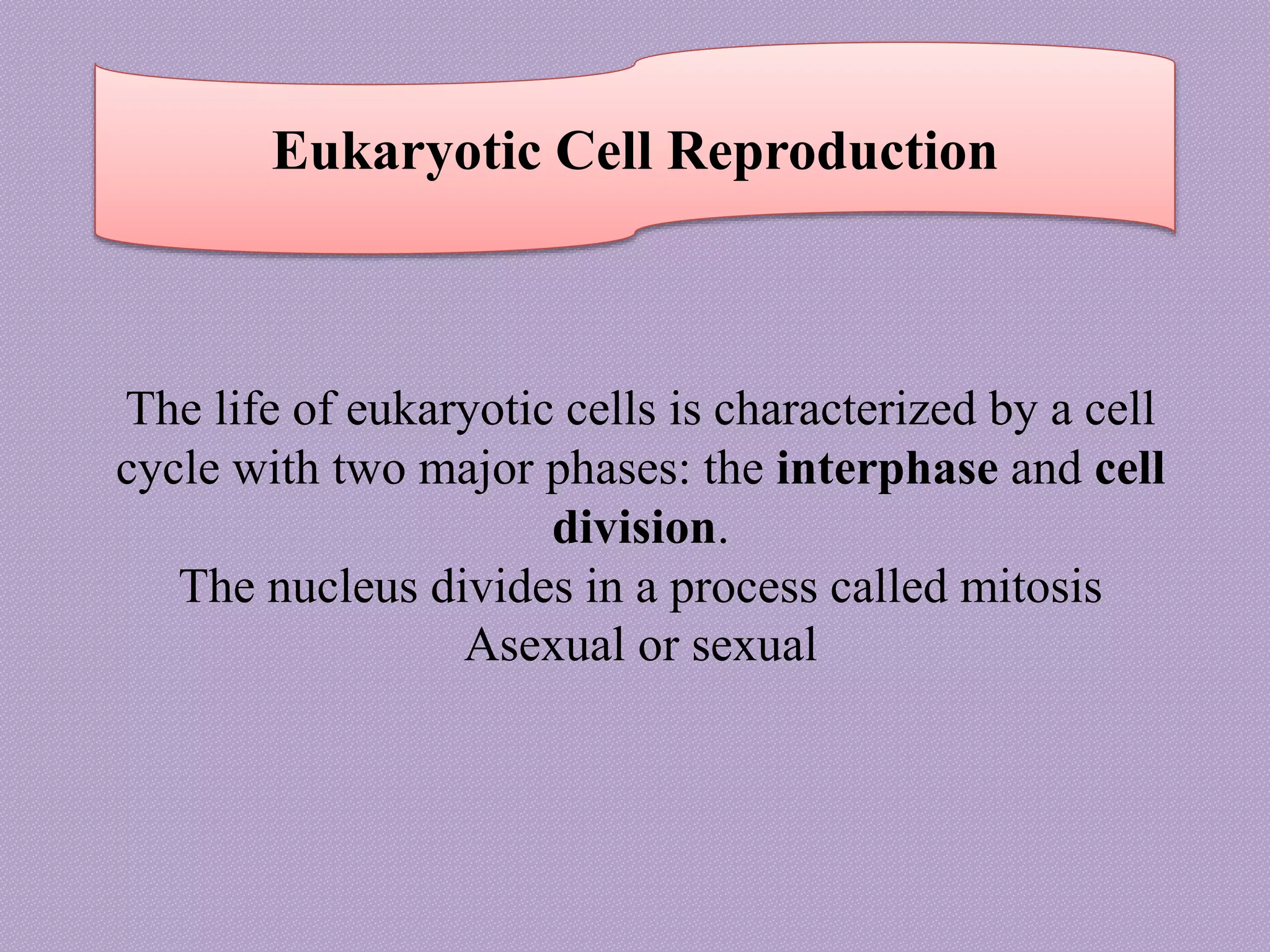 Prokaryotic and Eukaryotic Cells | PPTX