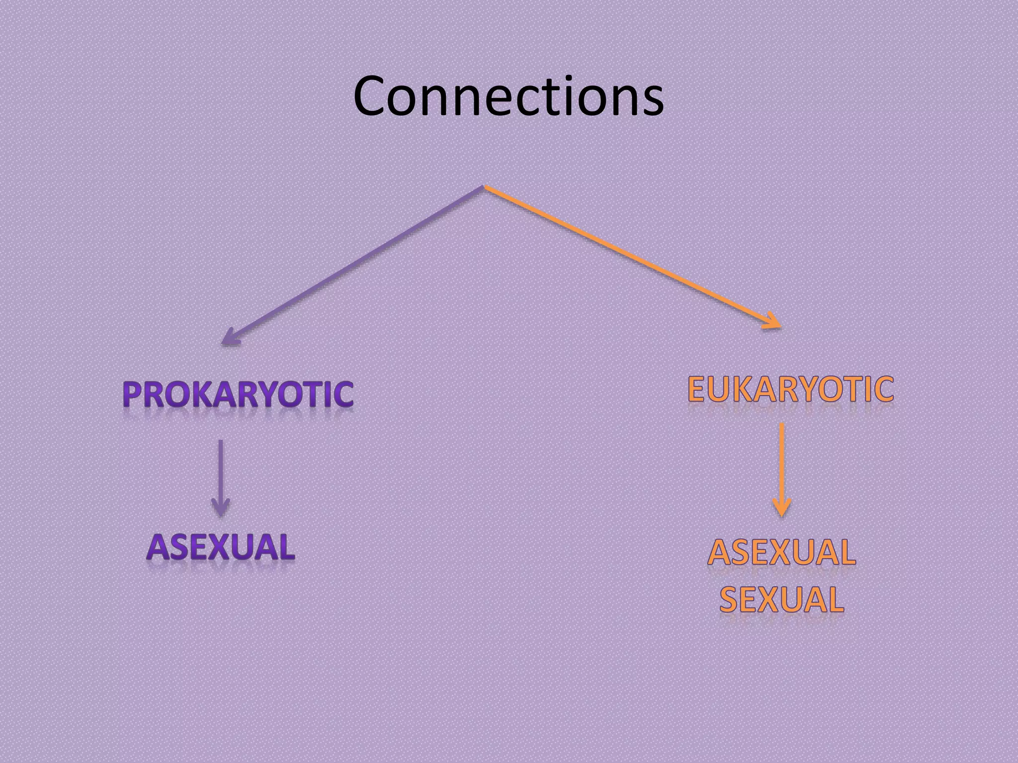 Prokaryotic and Eukaryotic Cells | PPTX