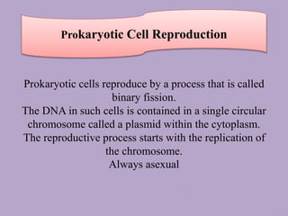 Prokaryotic and Eukaryotic Cells | PPTX