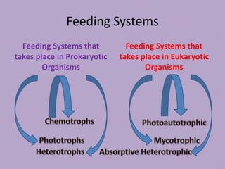 Prokaryotic and Eukaryotic Cells | PPTX
