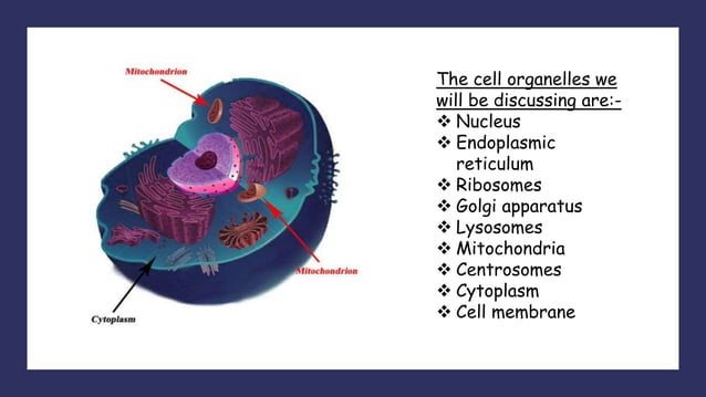 Cell and its function | PPT