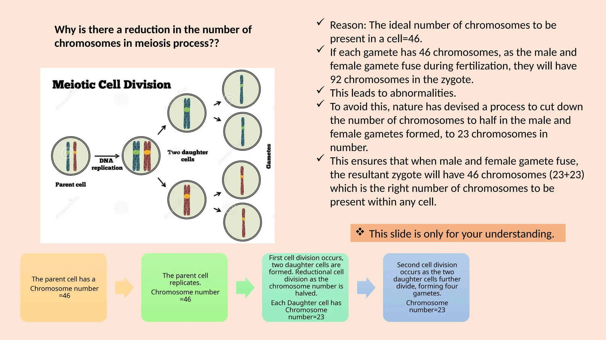 Cells (1).pptx for class nineth - class 9 | PPT | Free Download