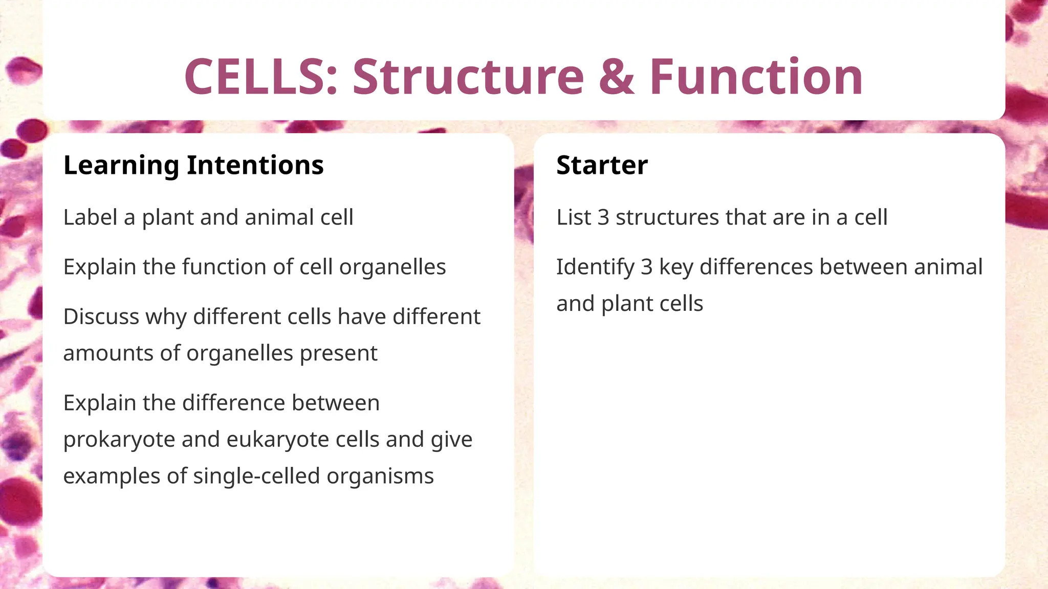 Cells 1.pptx cells for a biology class2025 | PPTX