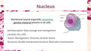 Cells 1.pptx cells for a biology class2025 | PPTX
