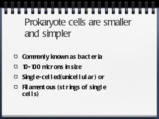 Cells | PPT
