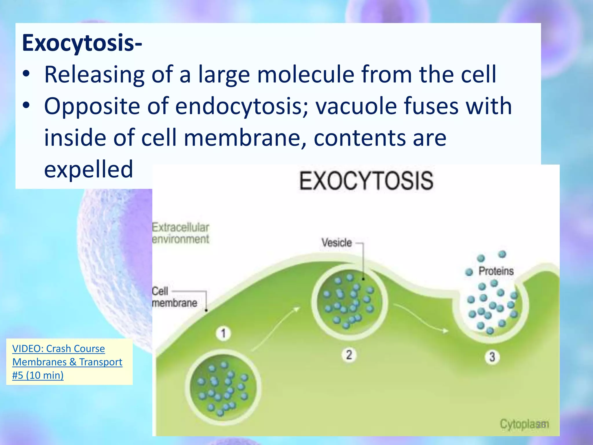 Cells 2 homeostasis | PPTX