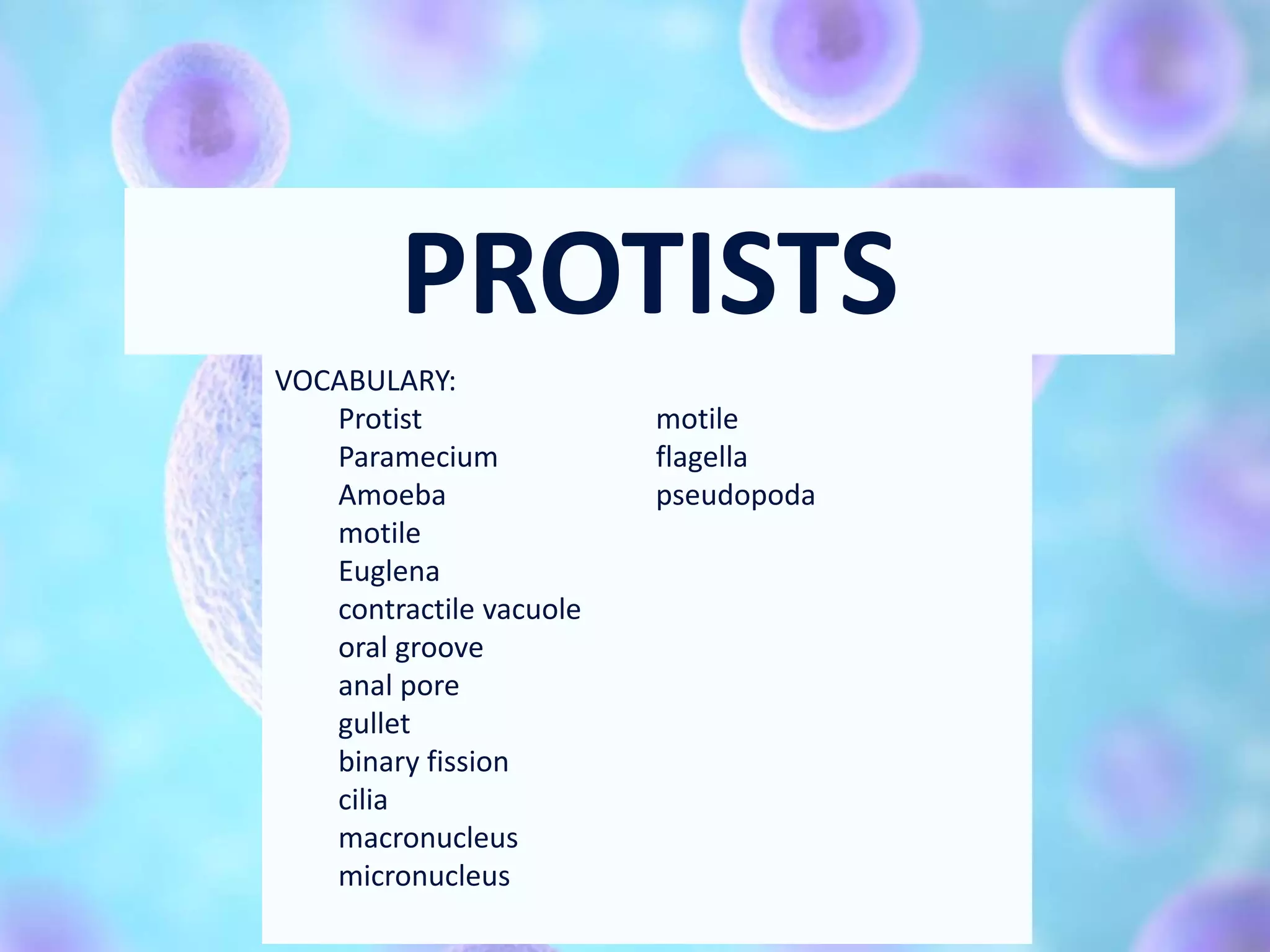Cells 2 homeostasis | PPTX