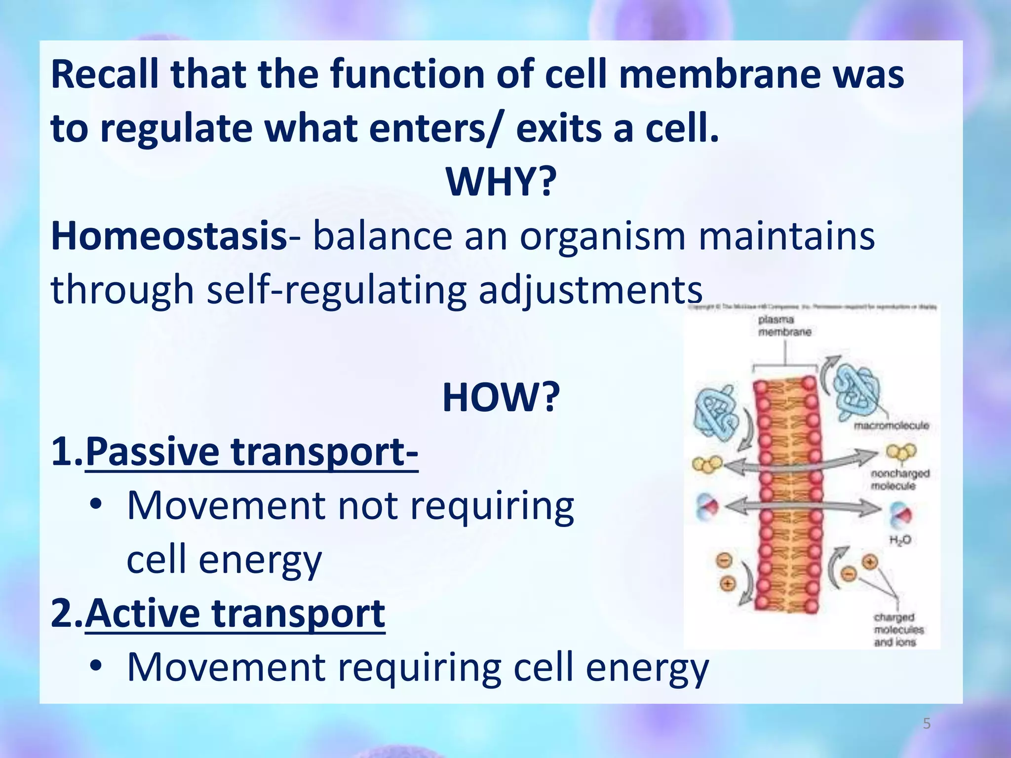 Cells 2 homeostasis | PPTX