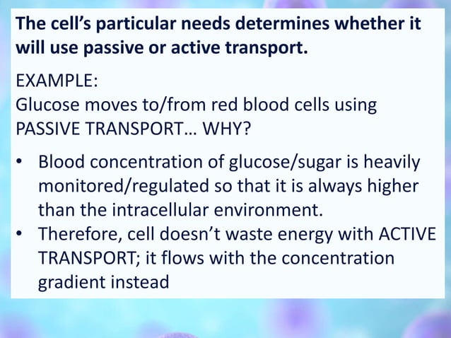 Cells 2 homeostasis | PPTX