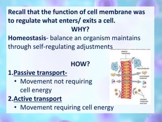 Cells 2 homeostasis | PPTX