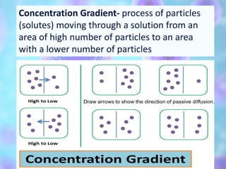 Cells 2 homeostasis | PPTX