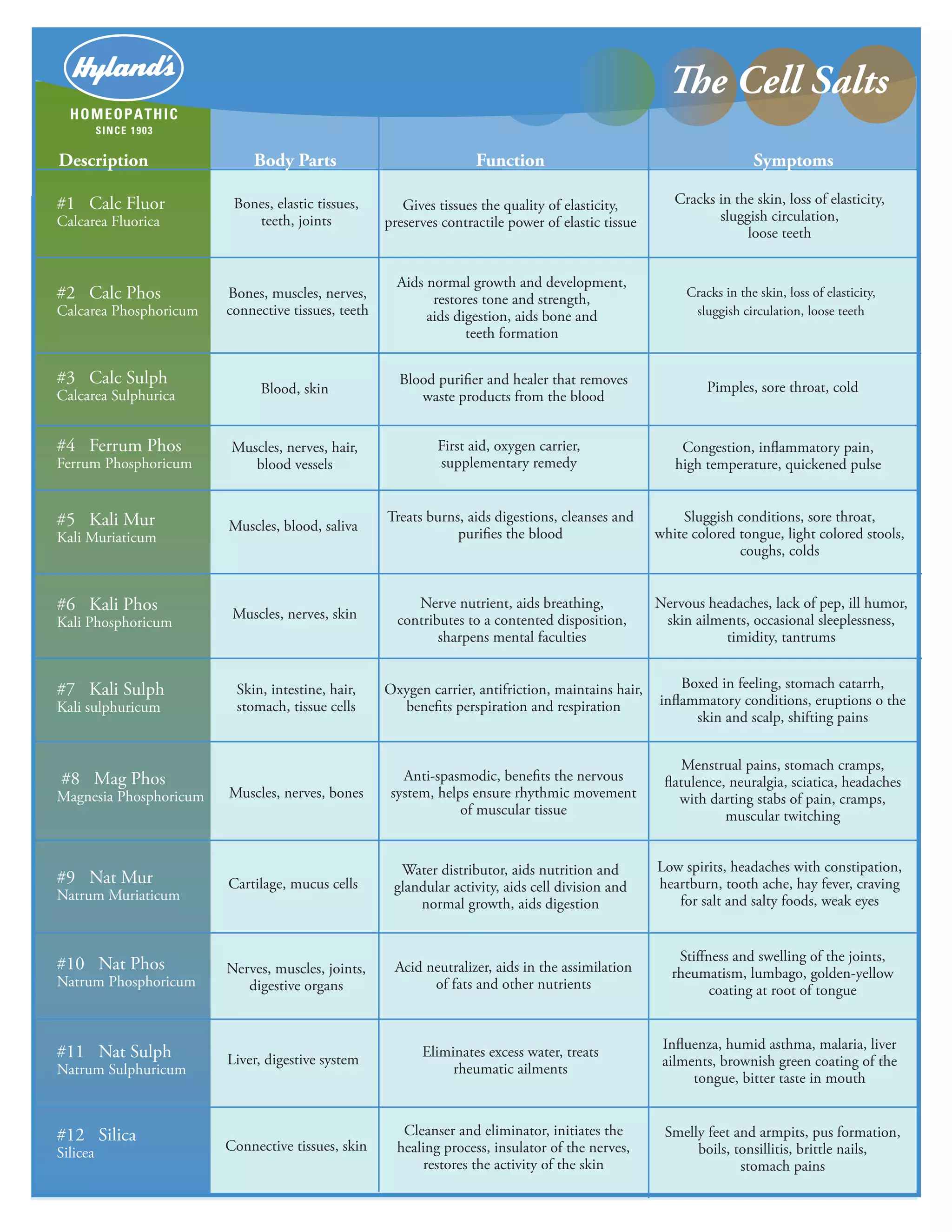 Understanding Cell Salts | PDF