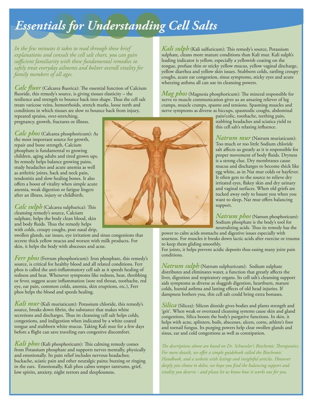 Understanding Cell Salts | PDF
