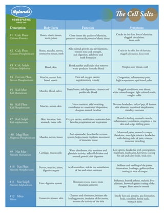 Understanding Cell Salts | PDF
