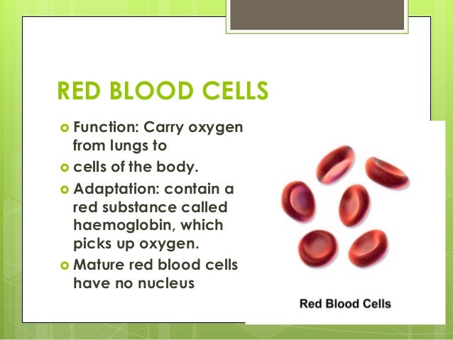 Cells and cell specialization