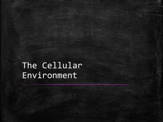 Cells and chromosomes | PPT