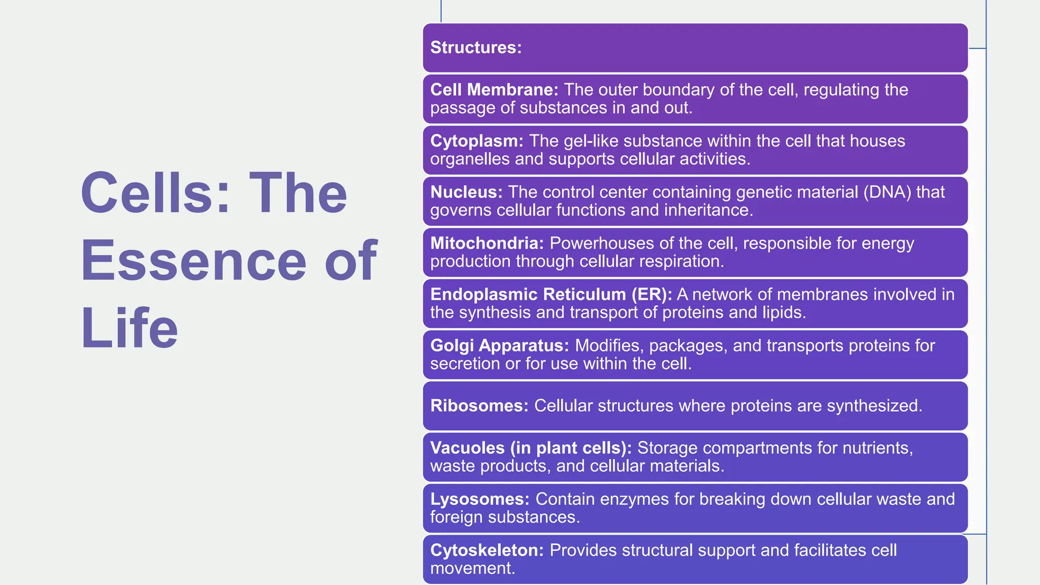 Cells (The basic unit of life) and Functions. pptx | PPTX