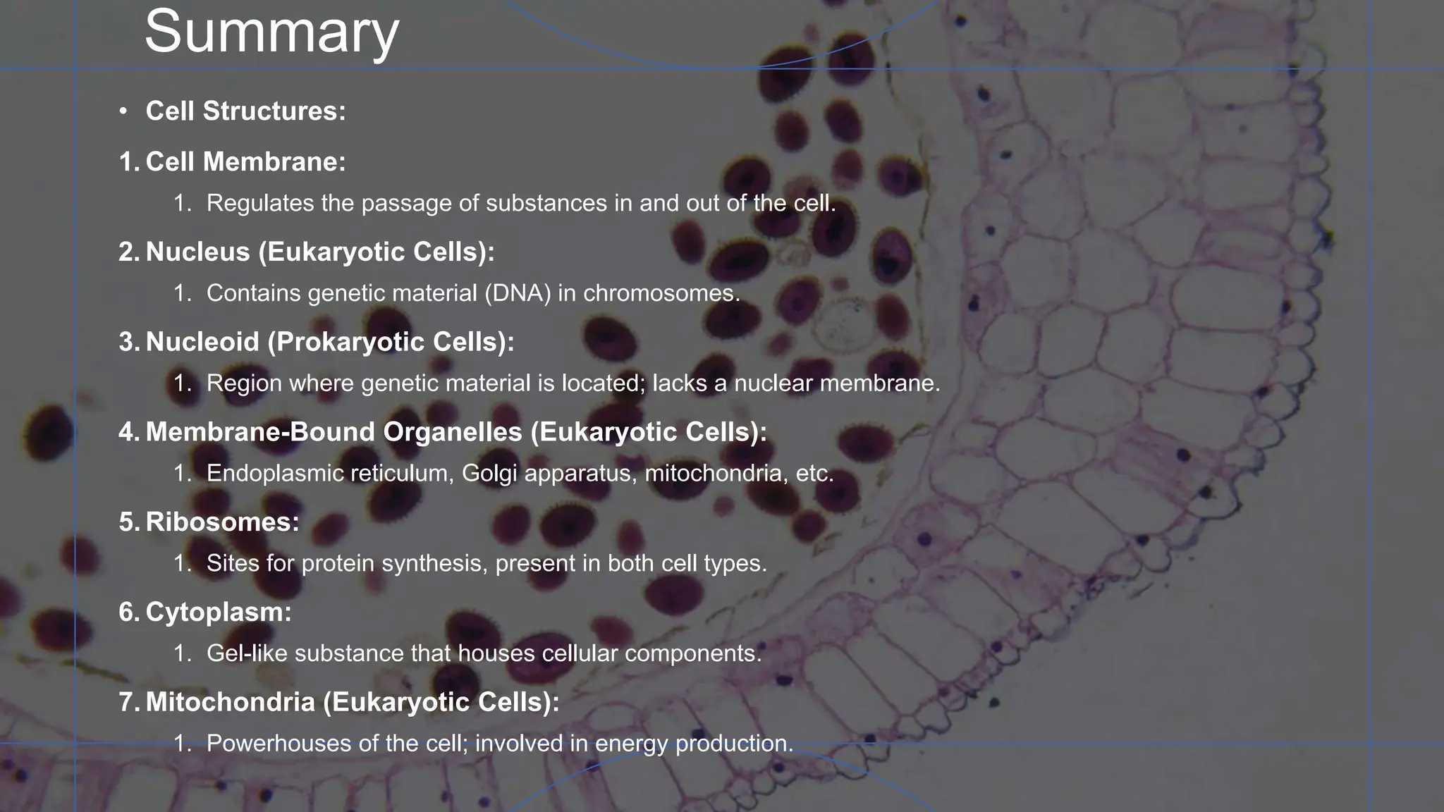 Cells (The basic unit of life) and Functions. pptx | PPTX