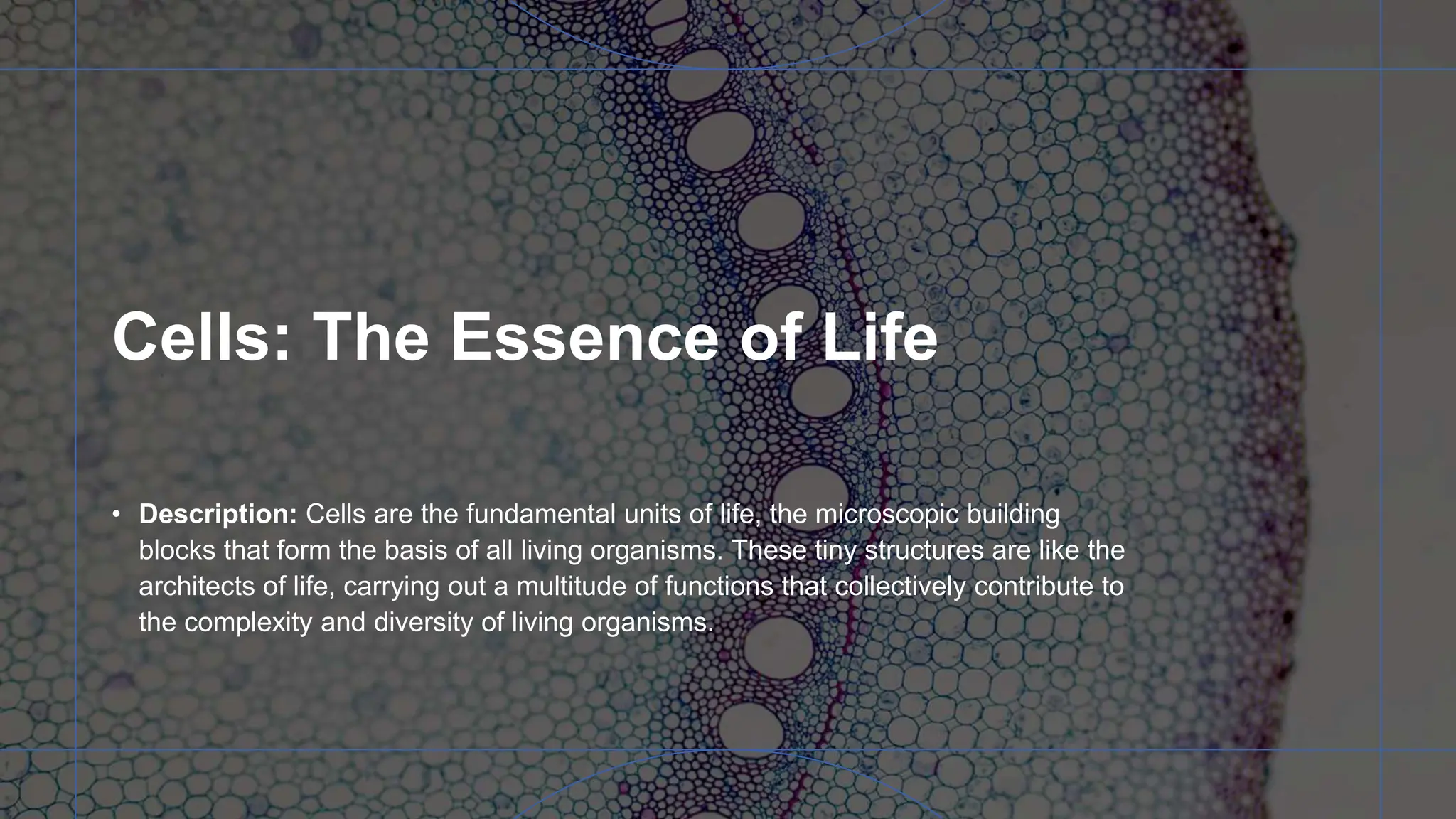Cells (The basic unit of life) and Functions. pptx | PPTX