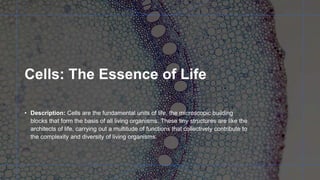 Cells (The basic unit of life) and Functions. pptx | PPTX