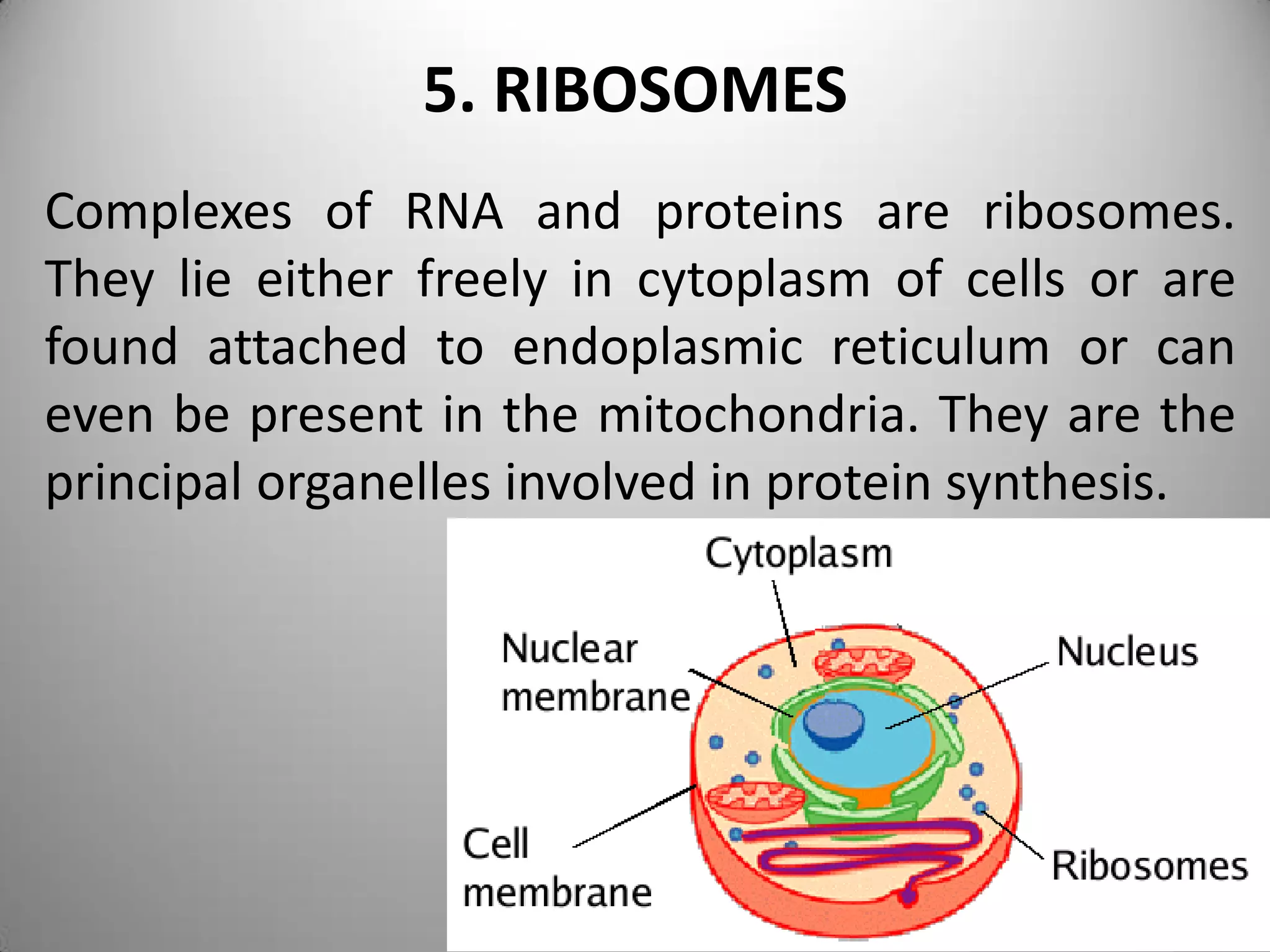 Cells and its components(Anatomy) Easy explanation | PDF
