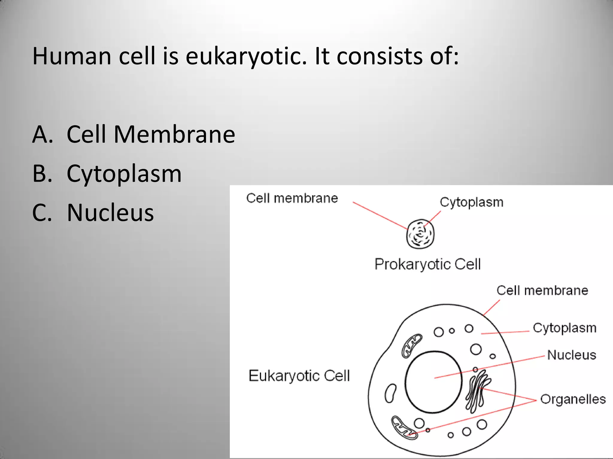 Cells and its components(Anatomy) Easy explanation | PDF