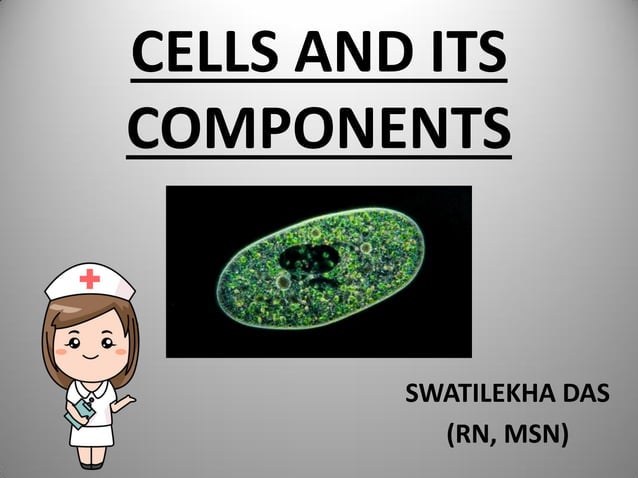 Cells and its components(Anatomy) Easy explanation | PDF | Biological Sciences | Science