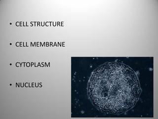 Cells and its components(Anatomy) Easy explanation | PDF