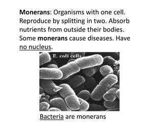 Cells and living organisms for ESL students | PPTX