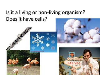 Cells and living organisms for ESL students | PPTX
