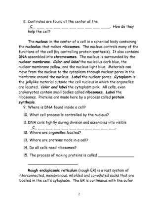 Cells and organelles | DOC