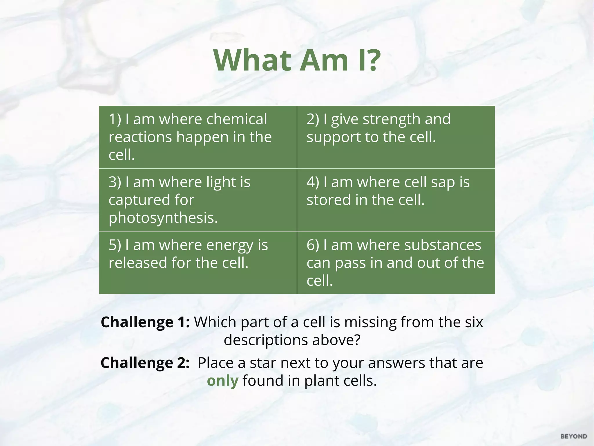 Cells and Organisation Lesson 2 Animal and Plant Cells PowerPoint.pptx