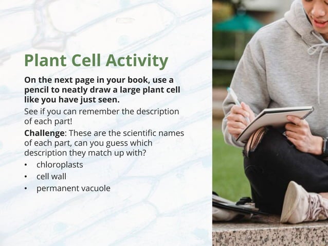 Cells and Organisation Lesson 2 Animal and Plant Cells PowerPoint.pptx