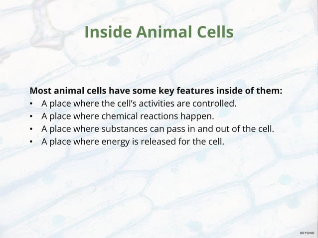 Cells and Organisation Lesson 2 Animal and Plant Cells PowerPoint.pptx