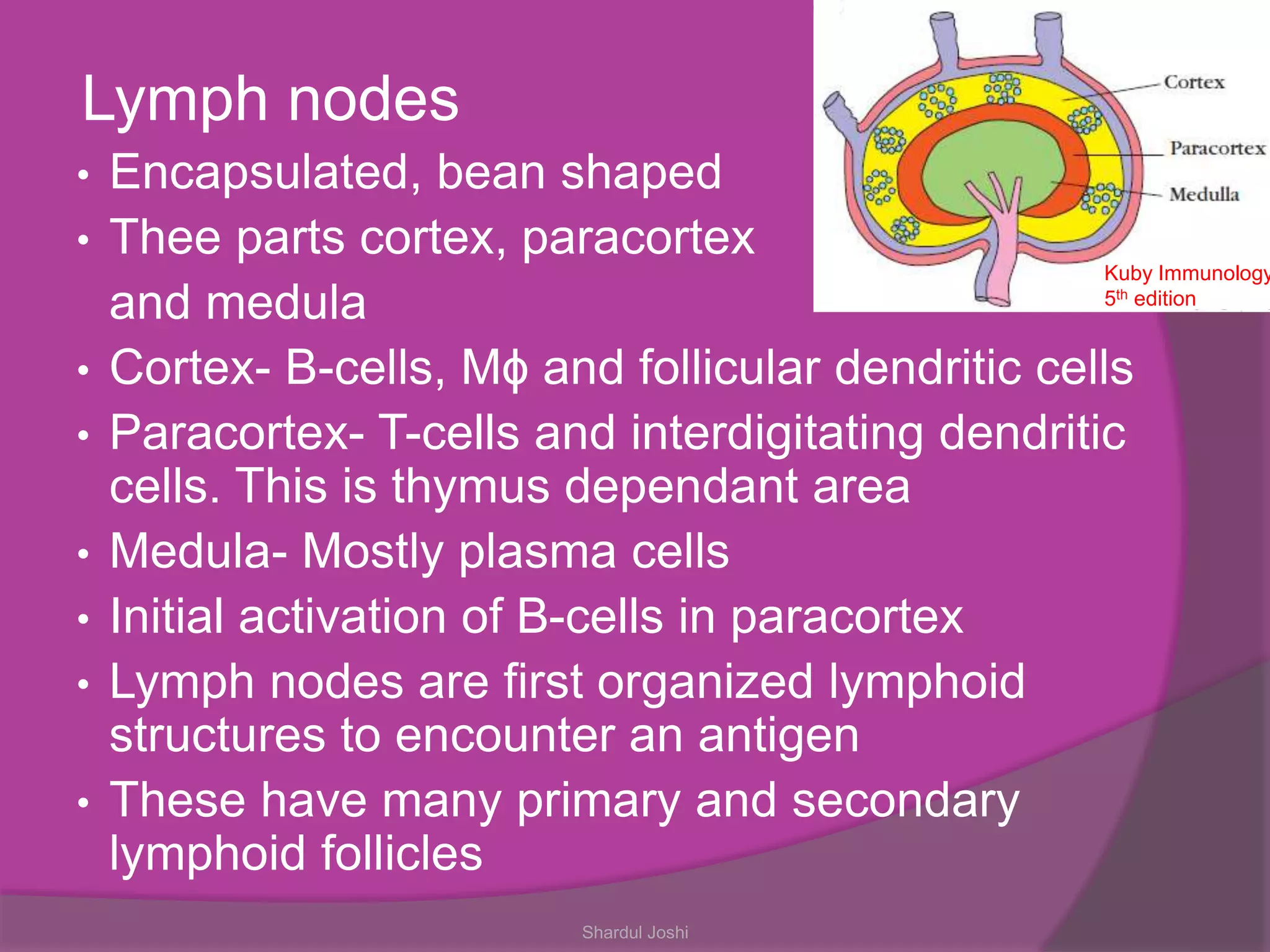 Cells and organs of immune system | PPTX