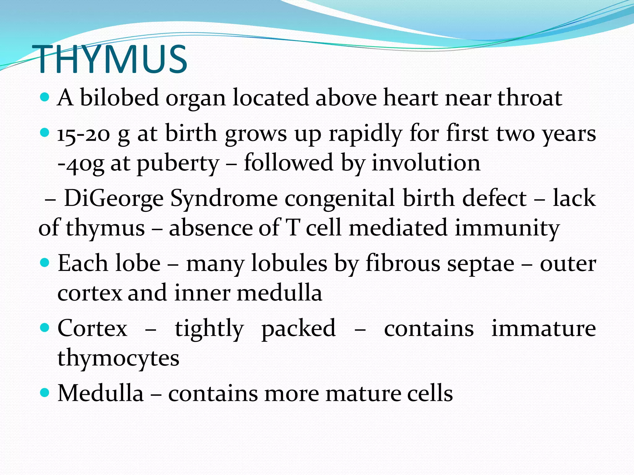 Cells and organs of the immune system | PPTX
