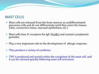 Cells and organs of the immune system | PPTX