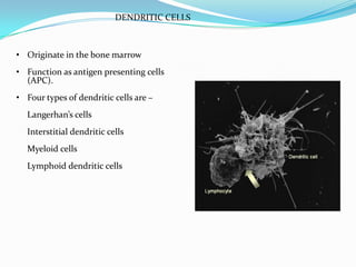 Cells and organs of the immune system | PPTX