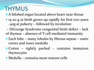Cells and organs of the immune system | PPTX