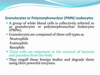 Cells and organs of the immune system | PPTX